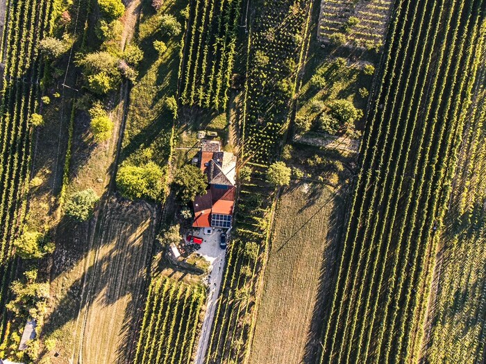 Turay Családi Pincészet :: naturkortyok