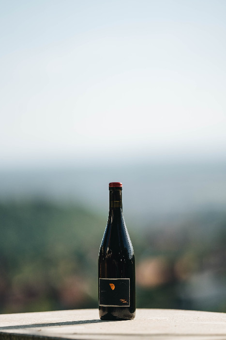 BENCZE PINOT NOIR 2022 :: naturkortyok